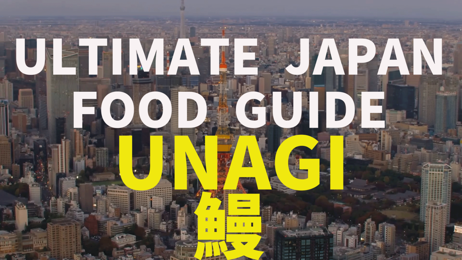Top 10 Most Popular Japanese Foods You Must Try in Japan - KNOWING JAPAN