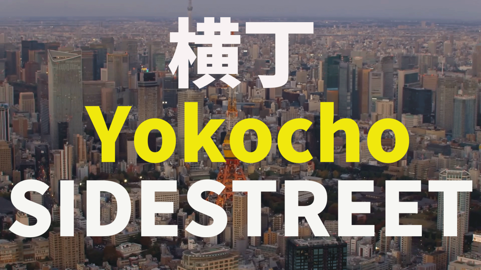Discover the Charm of Shinjuku’s Yokocho Alleys: A Slice of Authentic ...